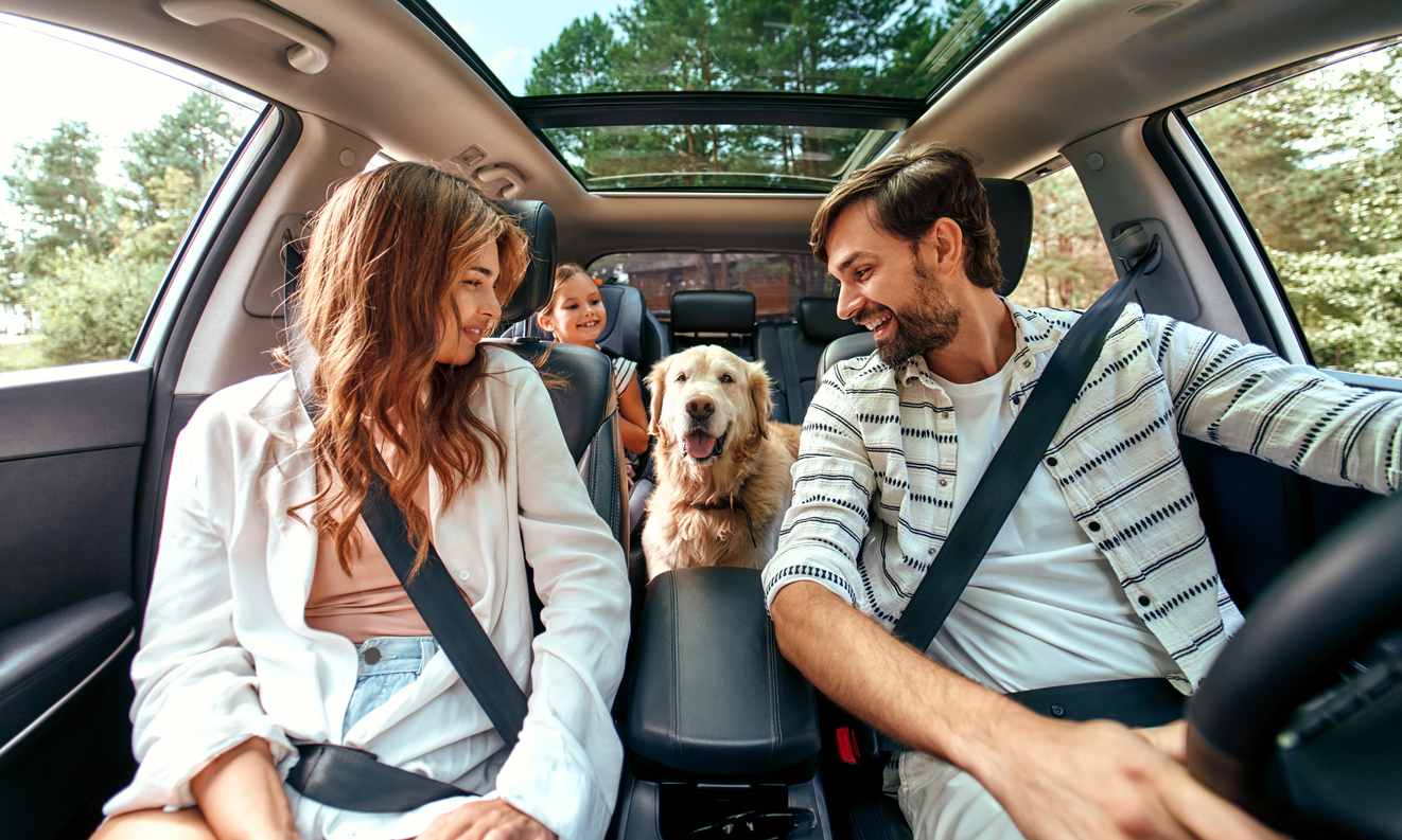 Find the Best Family Vehicles at Valley Automall - Valley Auto Mall - Blog